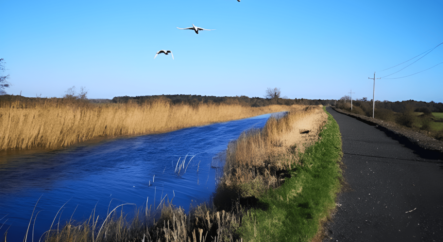 Cardiff Lane, The Sorting Office | OCSC